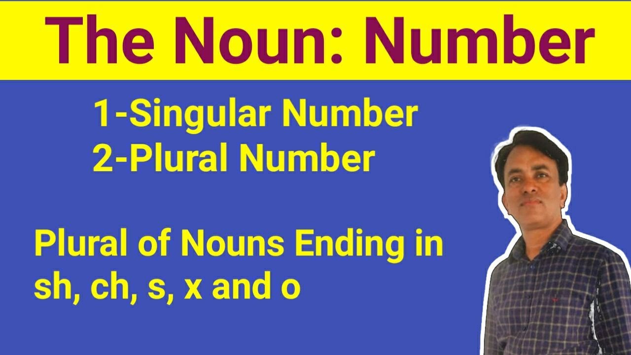 Singular Number | Plural Number | Number in English | ENGLISH GRAMMAR ...