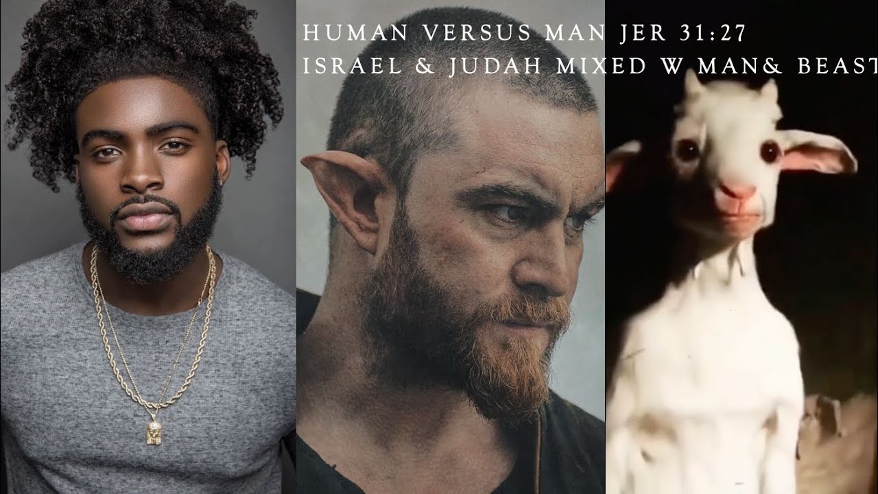 HUMANS VERSUS MAN WHAT IS HUMAN? - YouTube