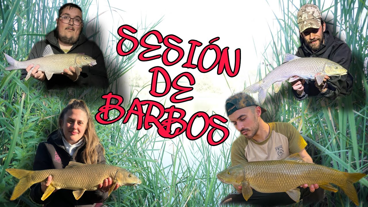 SESIÓN DE BARBOS | BARBOS | CARPFISHING | 2024 - YouTube