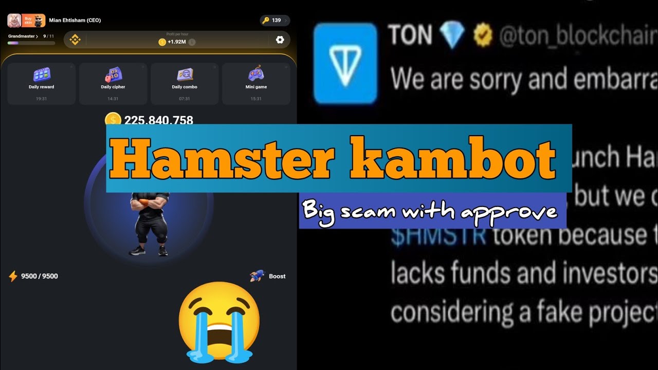 Hamster kambot scam : biggest scam 😭 with approve ton official news # ...