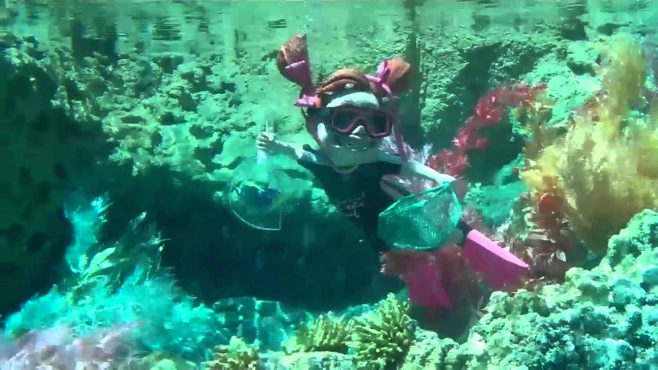 Finding Nemo Disneyland 2011 - YouTube