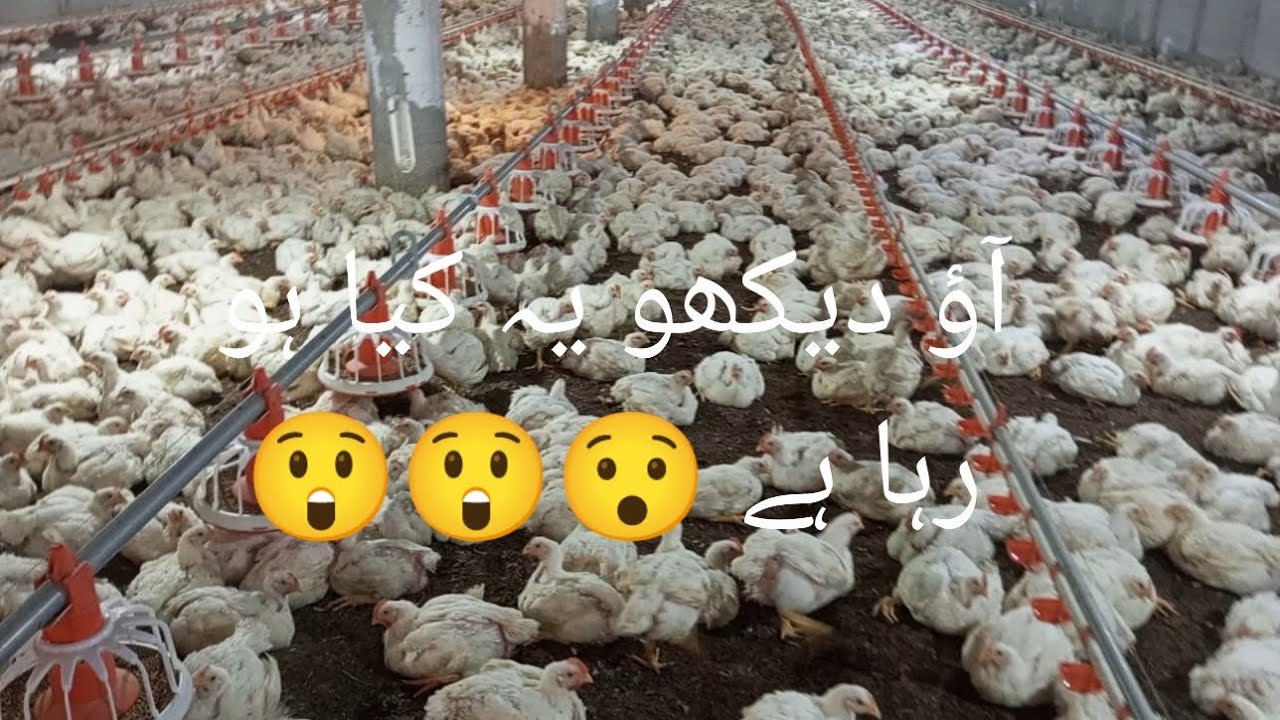 my first video visit my control shed - YouTube