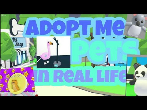Adopt me pets in real life - YouTube
