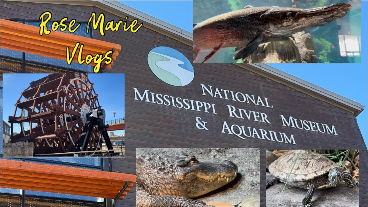 National Mississippi River Museum & Aquarium Part 1 - YouTube