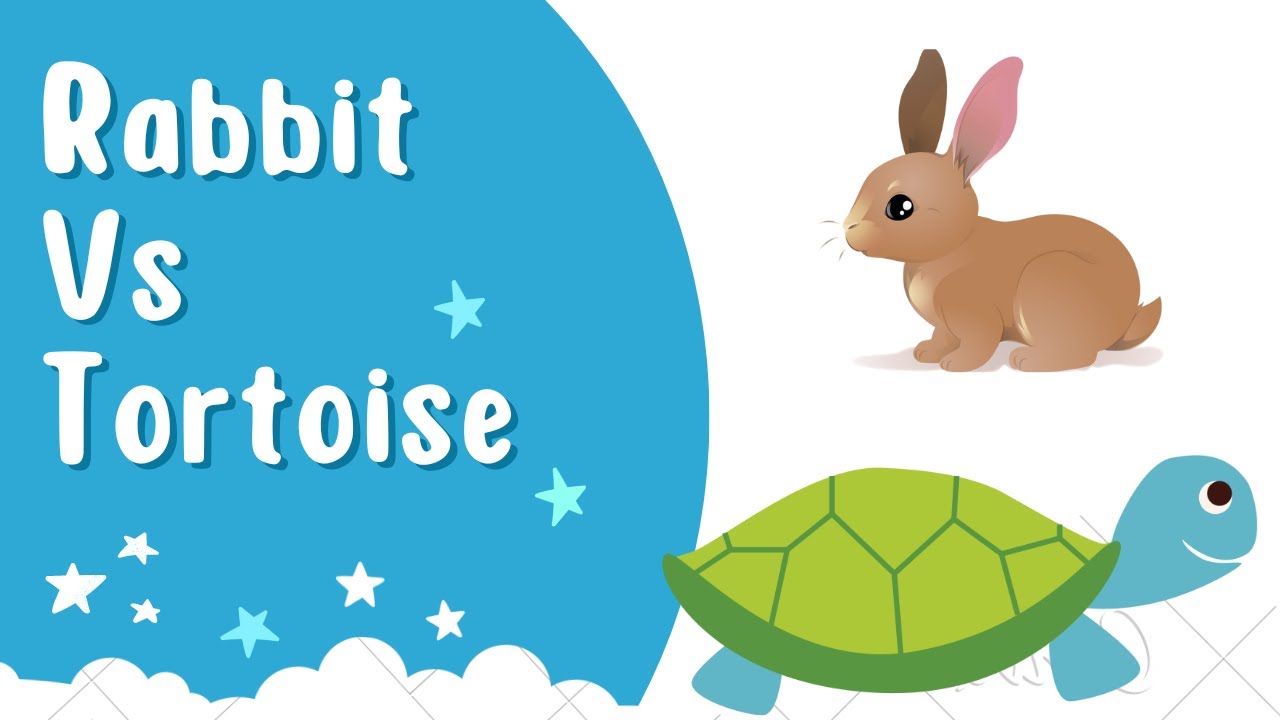 Hare vs. Tortoise. - YouTube