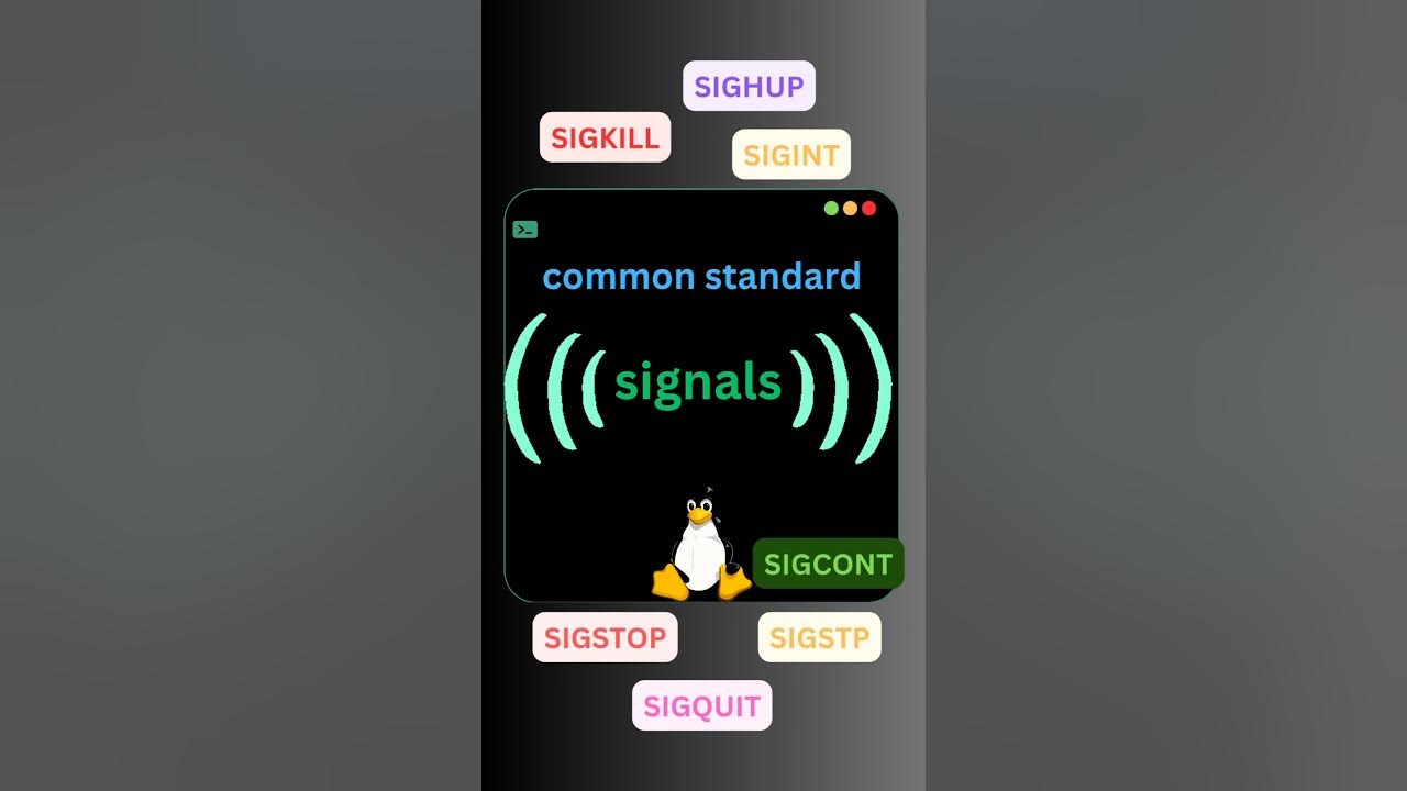 Learn Linux Signals! Standard Signals #sigkill #sigterm #sighup #sigquit #sigcont #sigint # ...