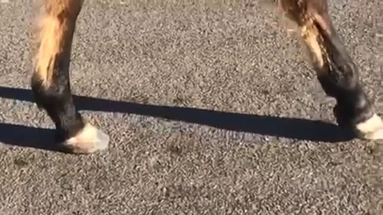 Toe first landing - YouTube