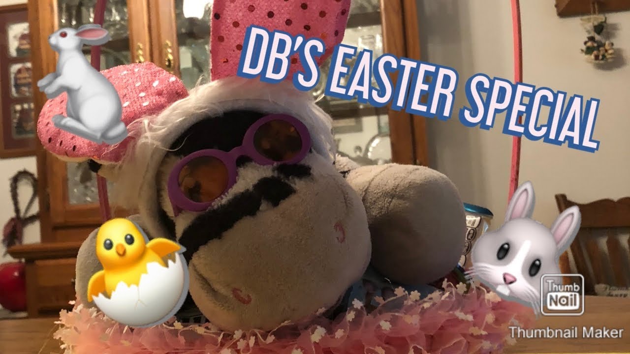 DB’S EASTER SPECIAL | DB MEETS THE EASTER BUNNY?! | DAISY BELLE #cow ...
