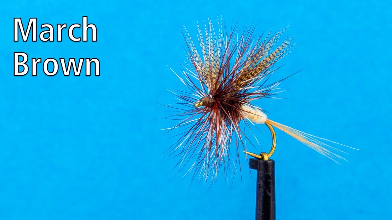 March Brown - YouTube