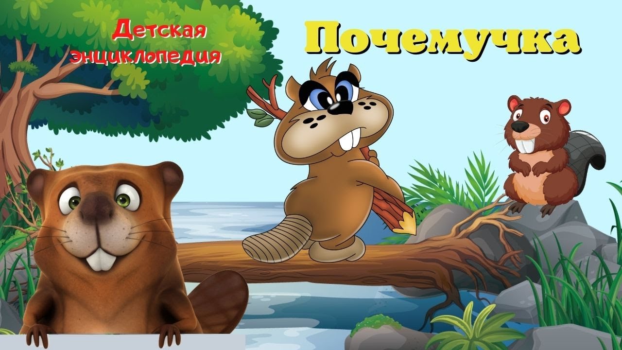 0+ Бобры. Интересные факты. Почемучка. Детская энциклопедия. - YouTube