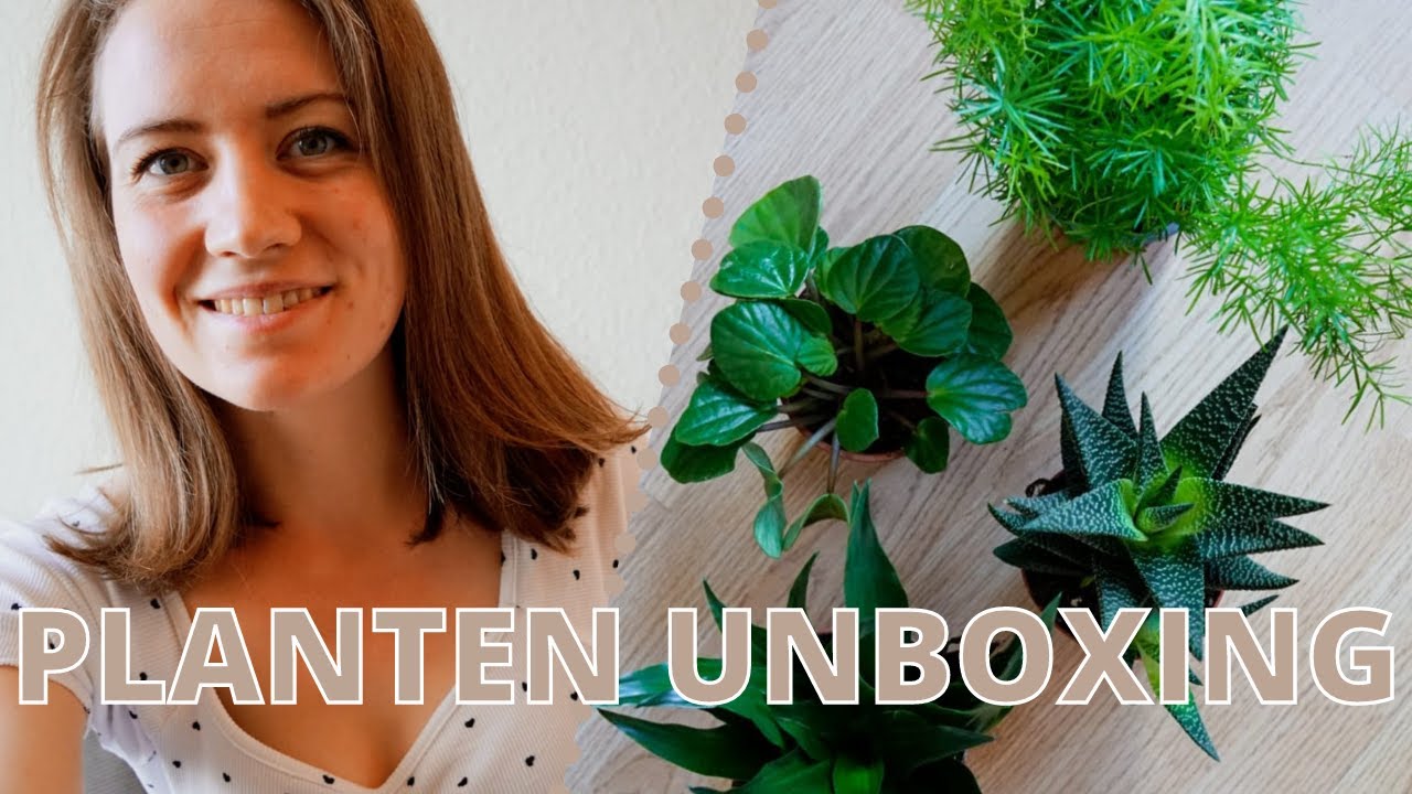 Groene Kneusjes Box Review Duurzaamheid En Verspilling Tegengaan