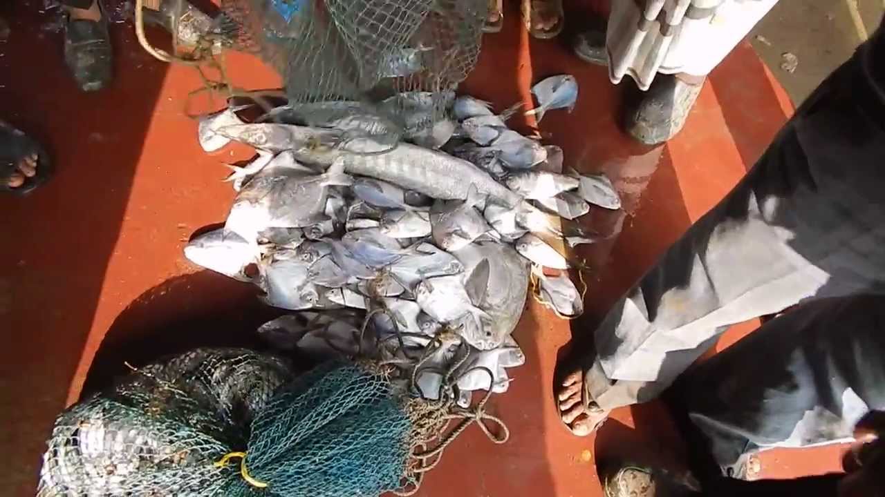 digha mohana fish market & sell bankura - YouTube