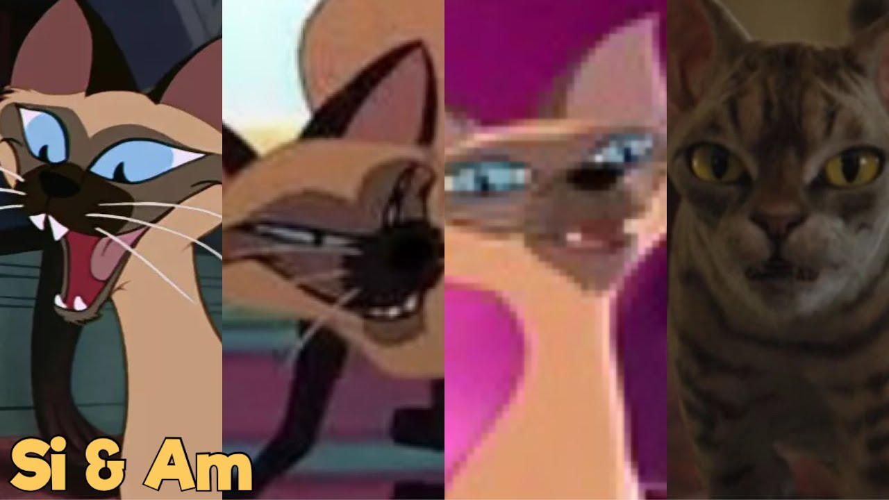 Si & Am (Lady And The Tramp) | Evolution In Movies & TV (1955 - 2019 ...