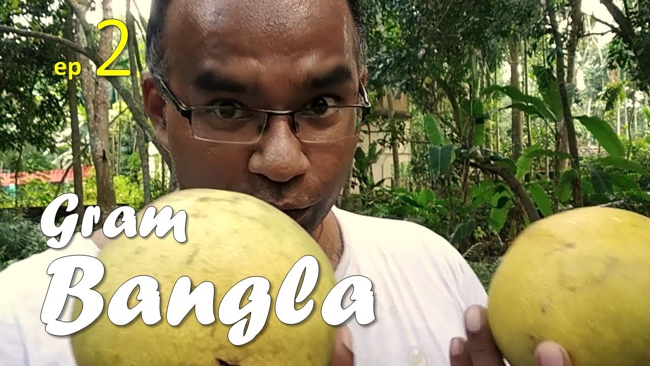 Gram Bangla ep 2 I Bengal Village experience - YouTube
