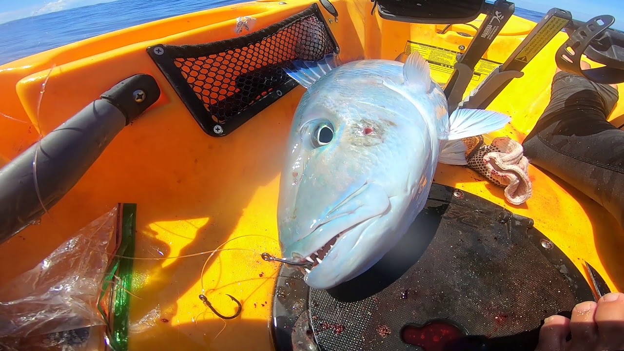 Hawaii kayak fishing |uku kawa kawa uku| - YouTube