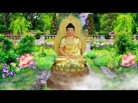 bela budhisma temo 4