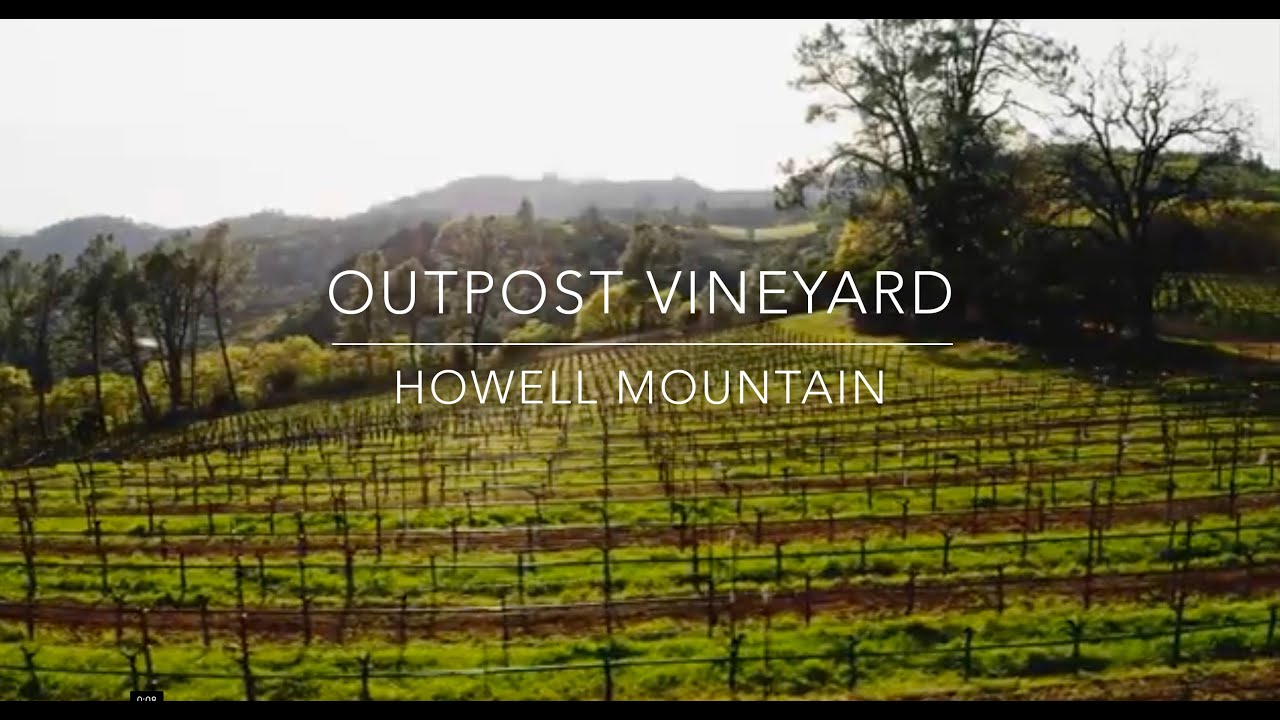 Outpost vineyard on the higher slopes of Howell Mountain in Napa Valley ...