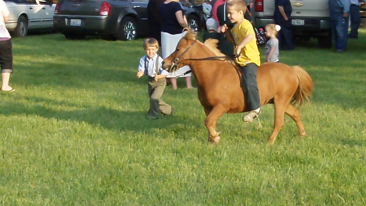 Horse and Pony Fun Days - YouTube