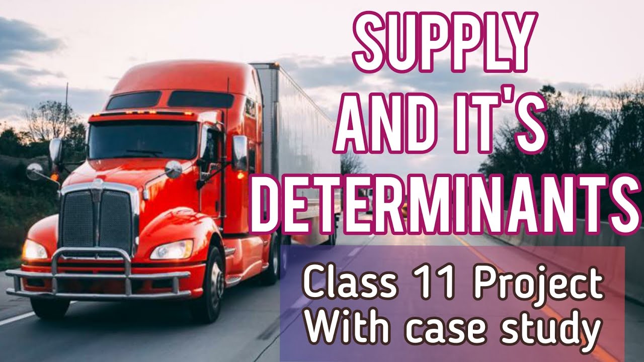 SUPPLY AND IT'S DETERMINANTS Project | With CASE STUDY - YouTube