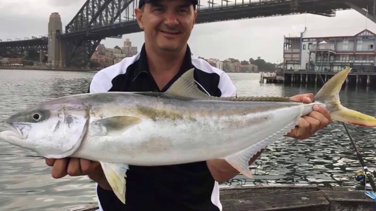 Tackle International Slide Bait Fishing For Kings and Mulloway - YouTube