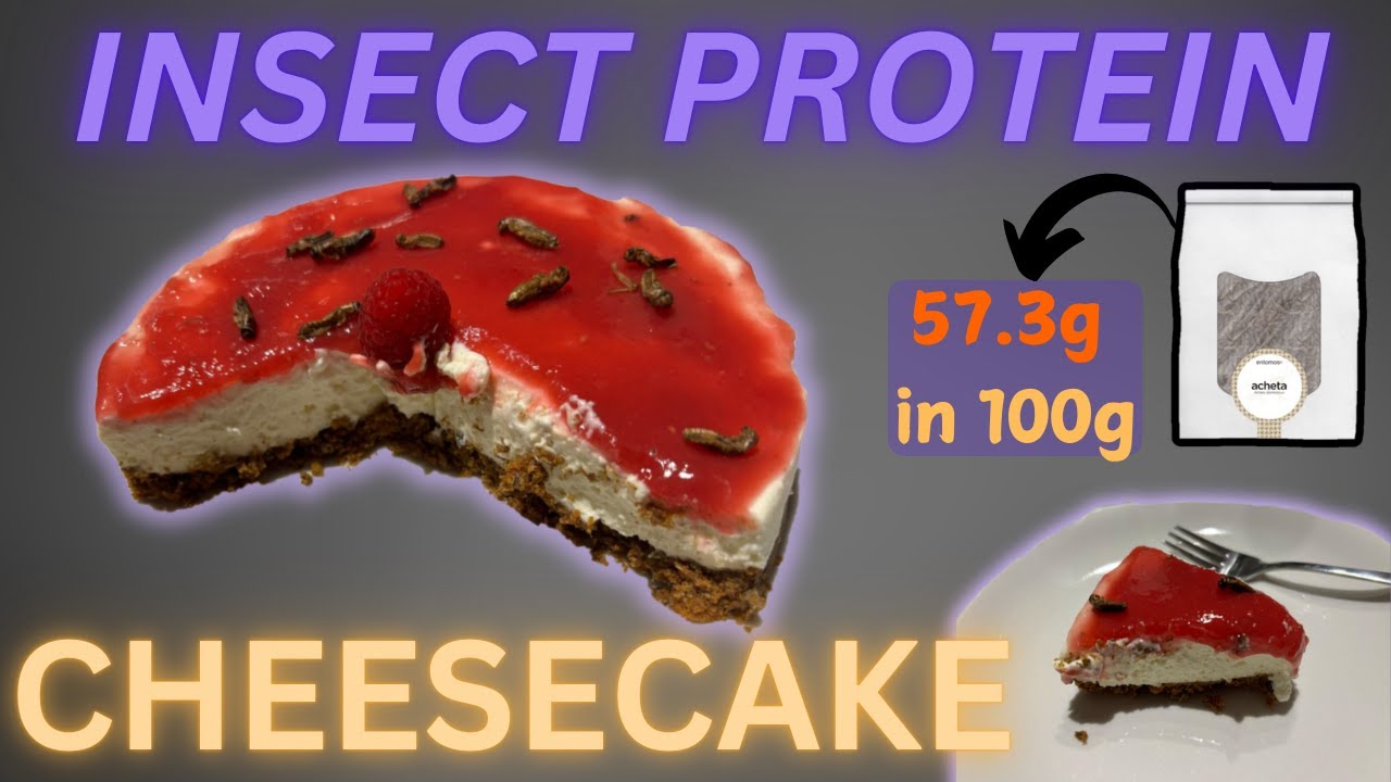 Insect Protein Cheesecake Tutorial (Home Made) - YouTube