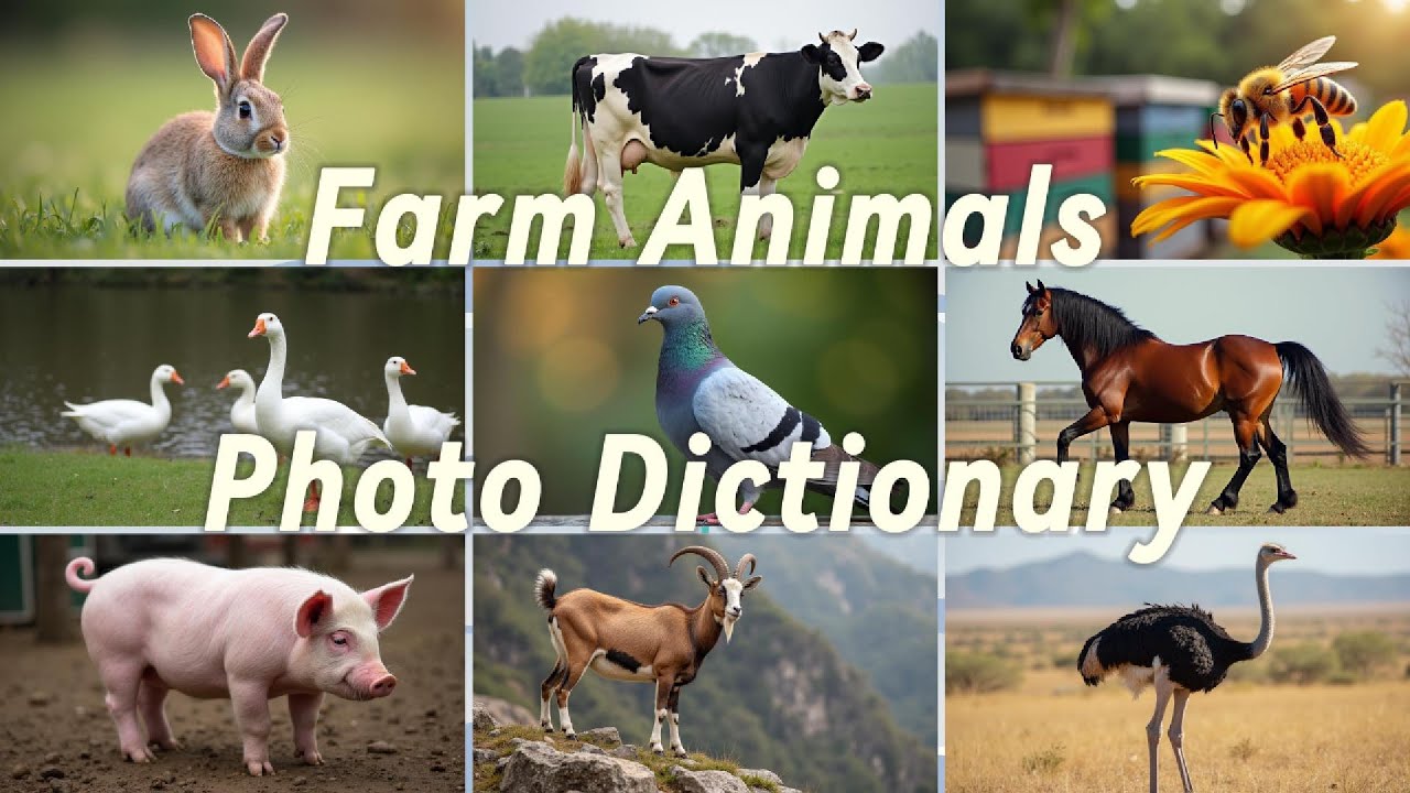 Farm Animals Photo Dictionary 🐄🐖🐑 | Learn Names of Farm Birds & Mammals ...