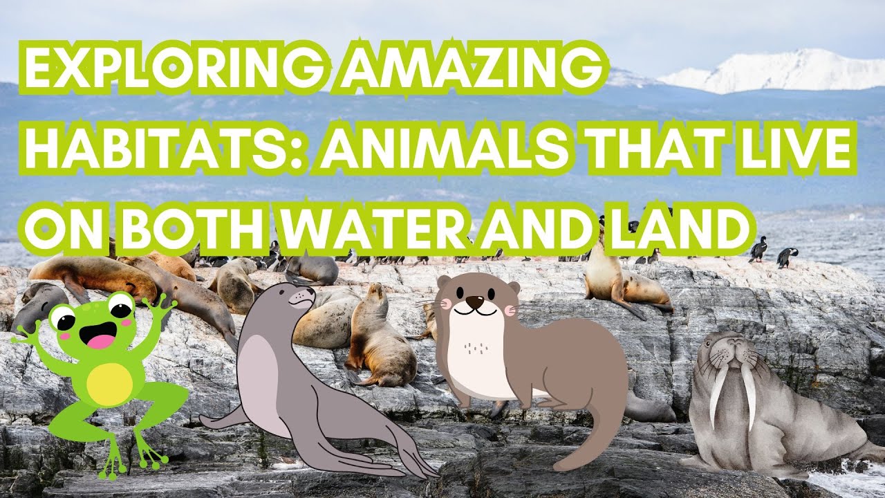 50 Amazing Animals That Live in Both Water and Land - YouTube