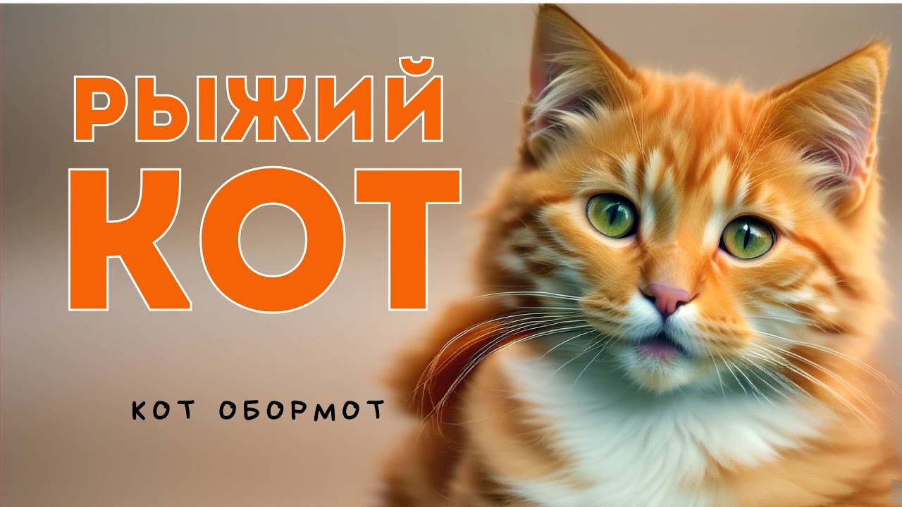 РЫЖИЙ КОТ - веселая детская песня (Витаминка) хит - YouTube