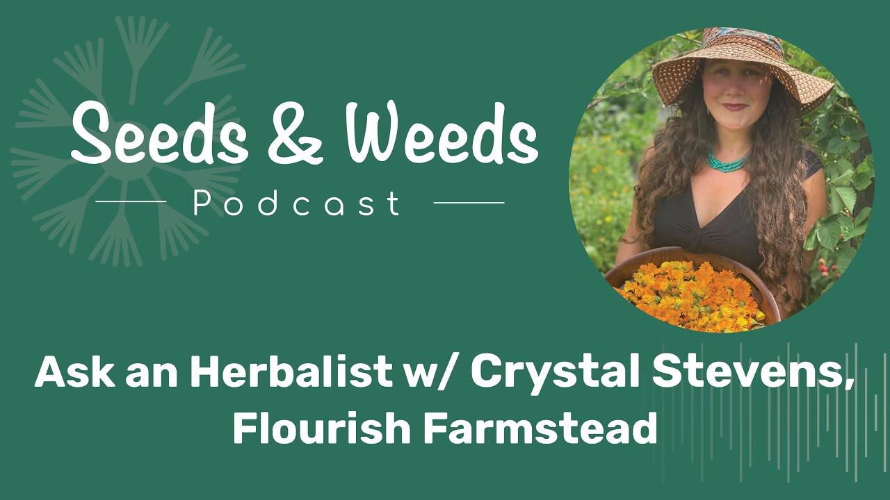 Ask An Herbalist W Crystal Stevens Flourish Farmstead Youtube