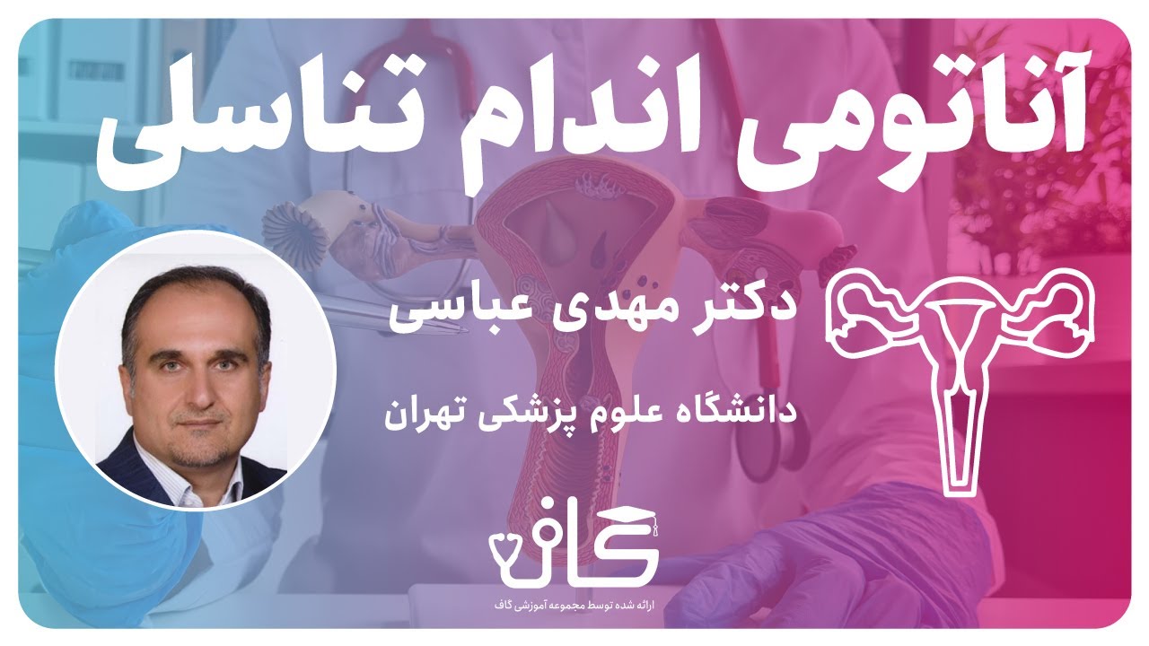 آناتومی اندام تناسلی Part 1 1 Youtube