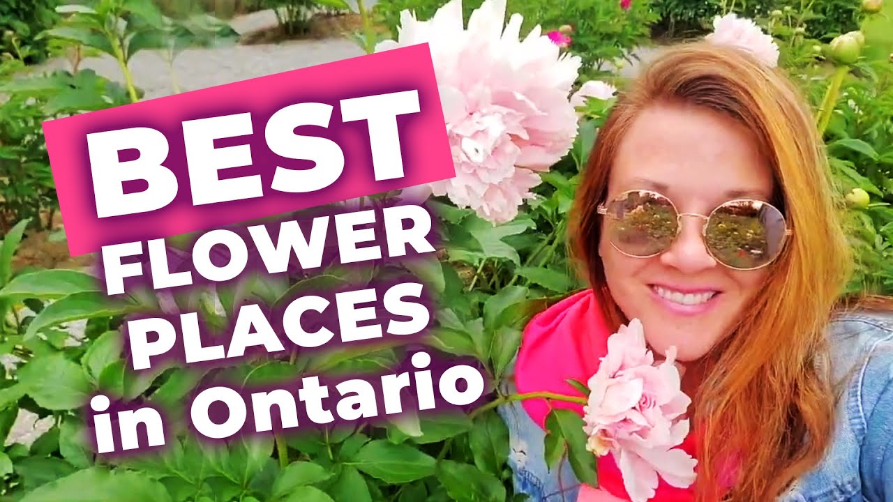 BEST FLOWER & PLANT PLACES of Ontario! (Greenhouses, Spring, Summer ...
