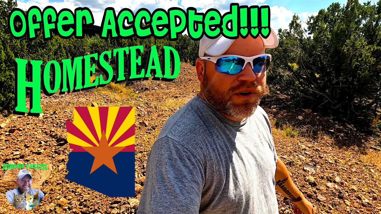 Arizona Homestead Land ~ Offer Accepted on 1 Acre ~ Future Plans - YouTube