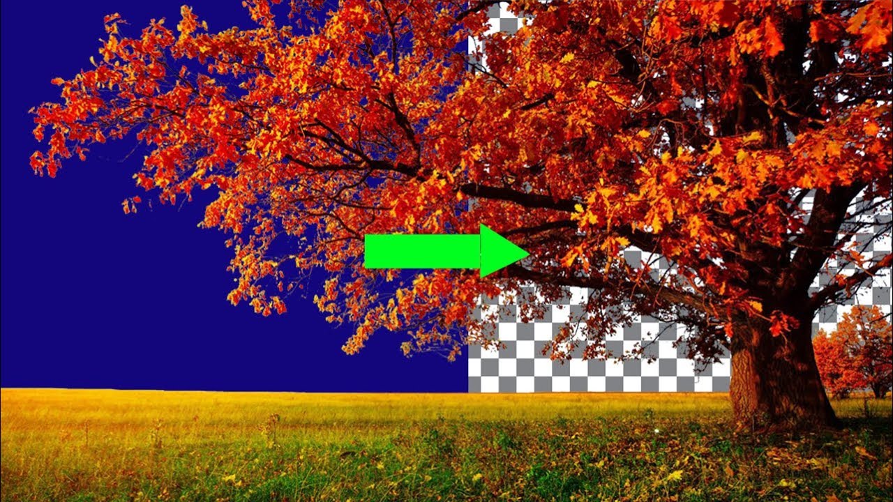 How To Remove Background Cut Out a Tree in Photoshop - YouTube