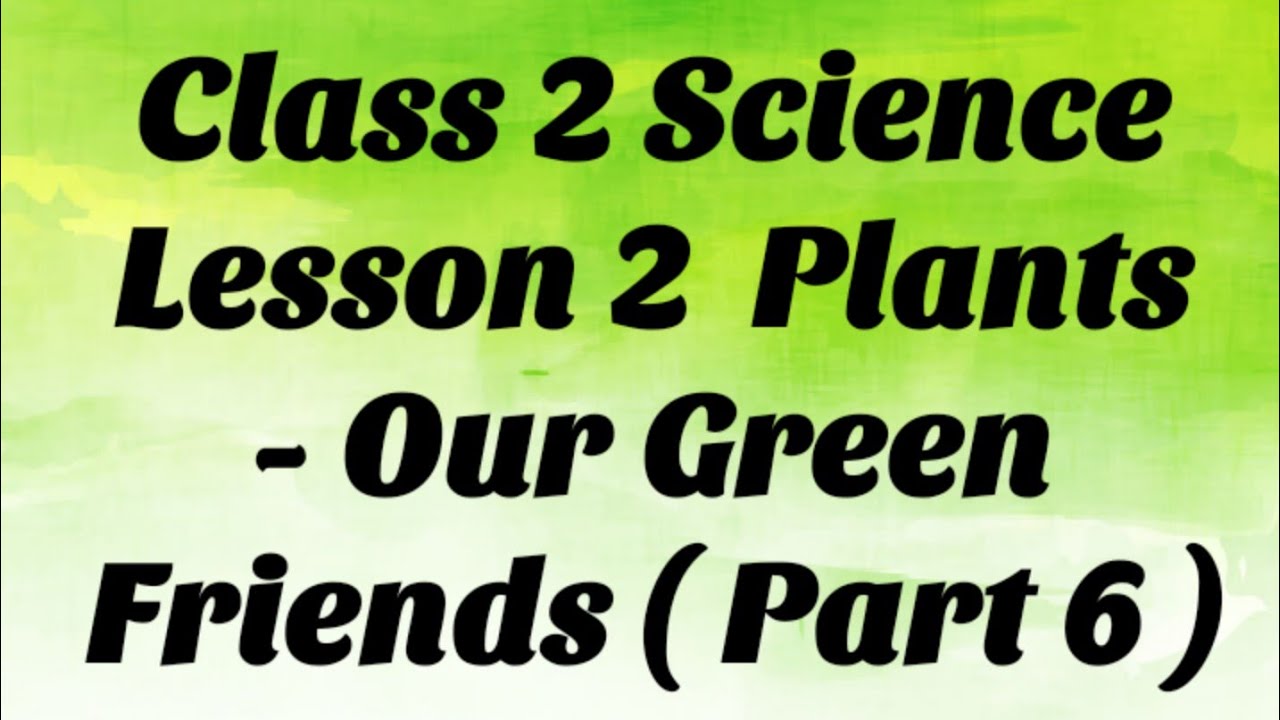 Class 2 Science Lesson 2 Plants - Our Green Friends ( Part 6) Topic ...