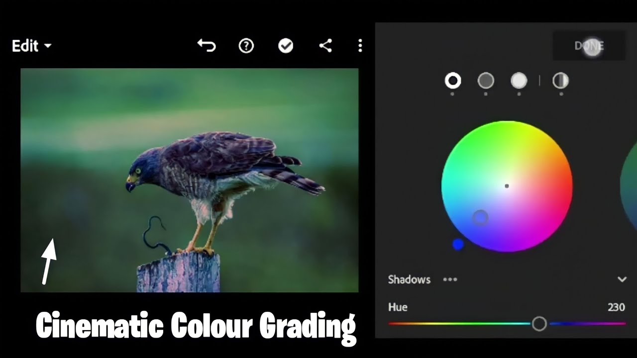 How To Fake Green Tune Cinematic editing In Lightroom || Ajeet Editor ...