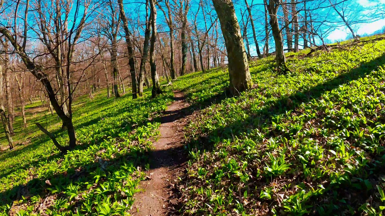 Spring Has Arrived YouTube spring-has-arrived-youtube