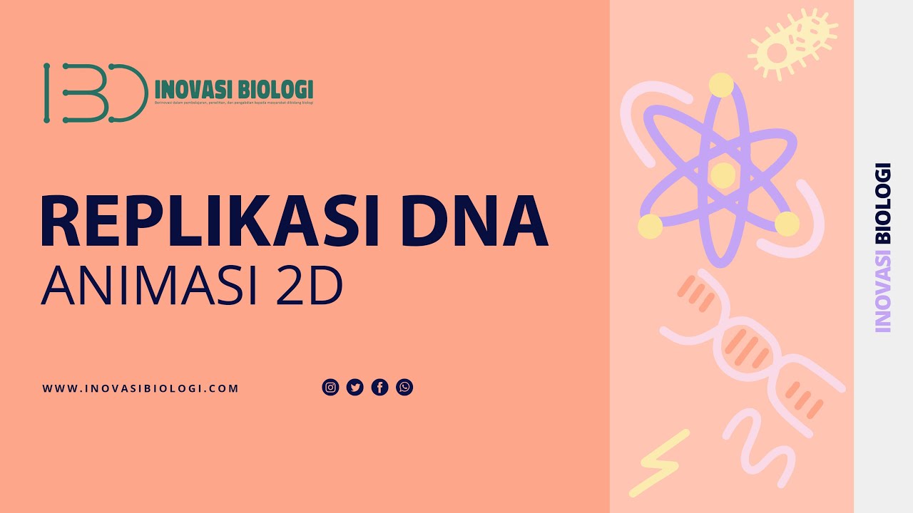 Replikasi DNA - Animasi 2 Dimensi - YouTube