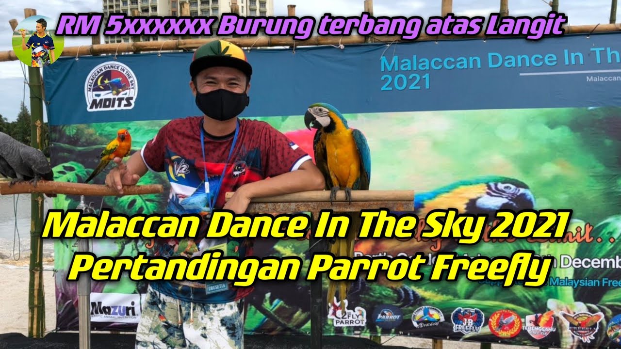Malaccan Dance In The Sky|Pertandingan Parrot Freefly|Event terbesar di Melaka 2021 |Training ...