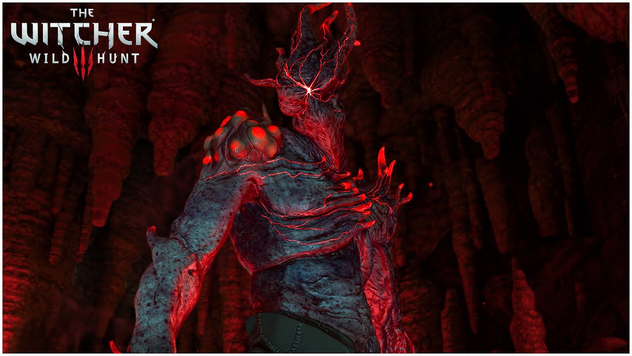 The Witcher 3 Wild Hunt - Red Miasmal Boss Fight (Death March) - YouTube