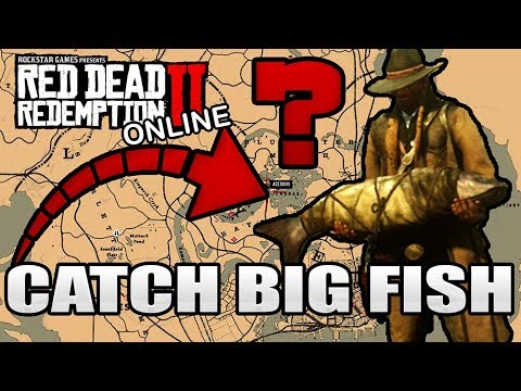 Where To Find How To Catch Big Game Fish: 1 Cat Fish: Red Dead ...