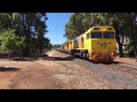 Collie Train - YouTube
