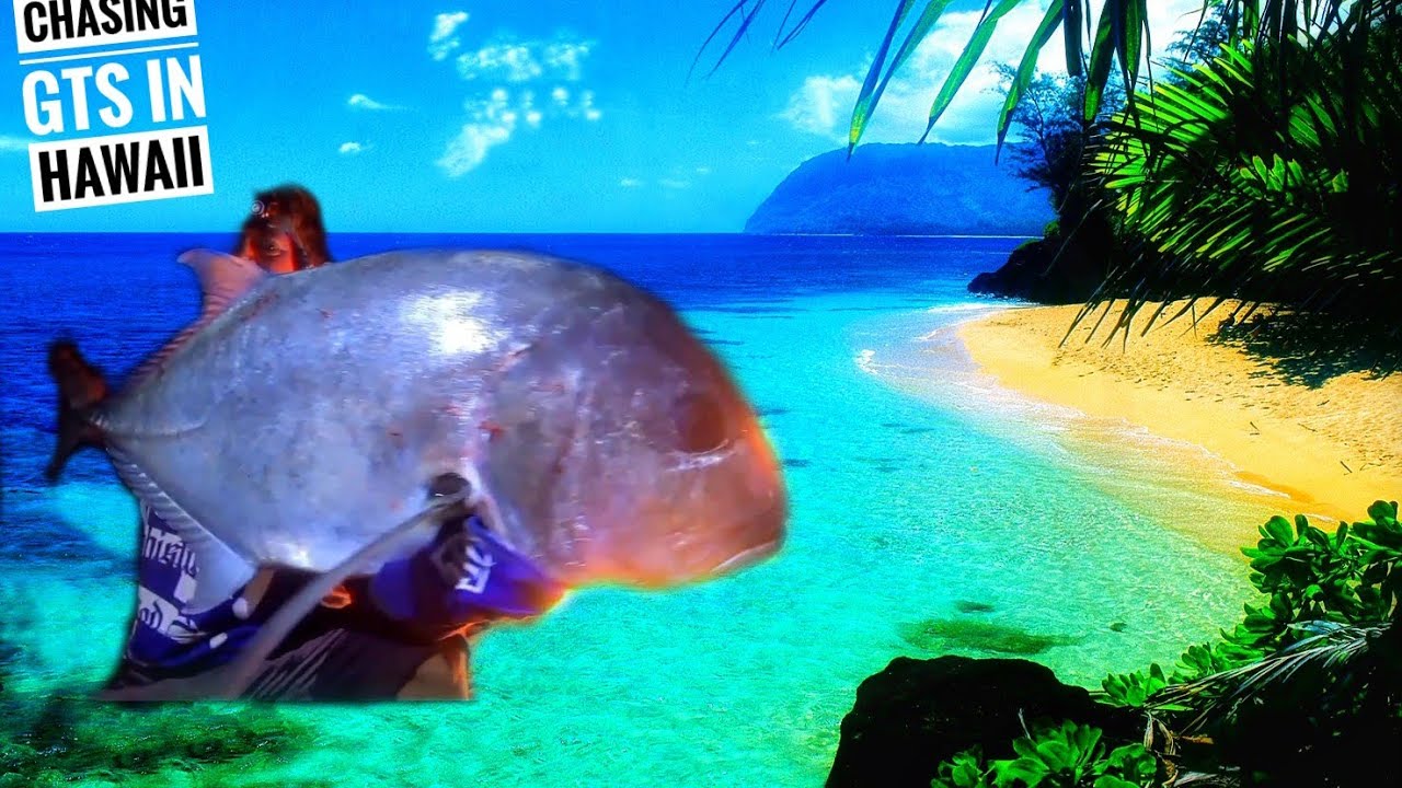 How to catch ulua/ ulua Gt fishing in hawaii monster fishing - YouTube