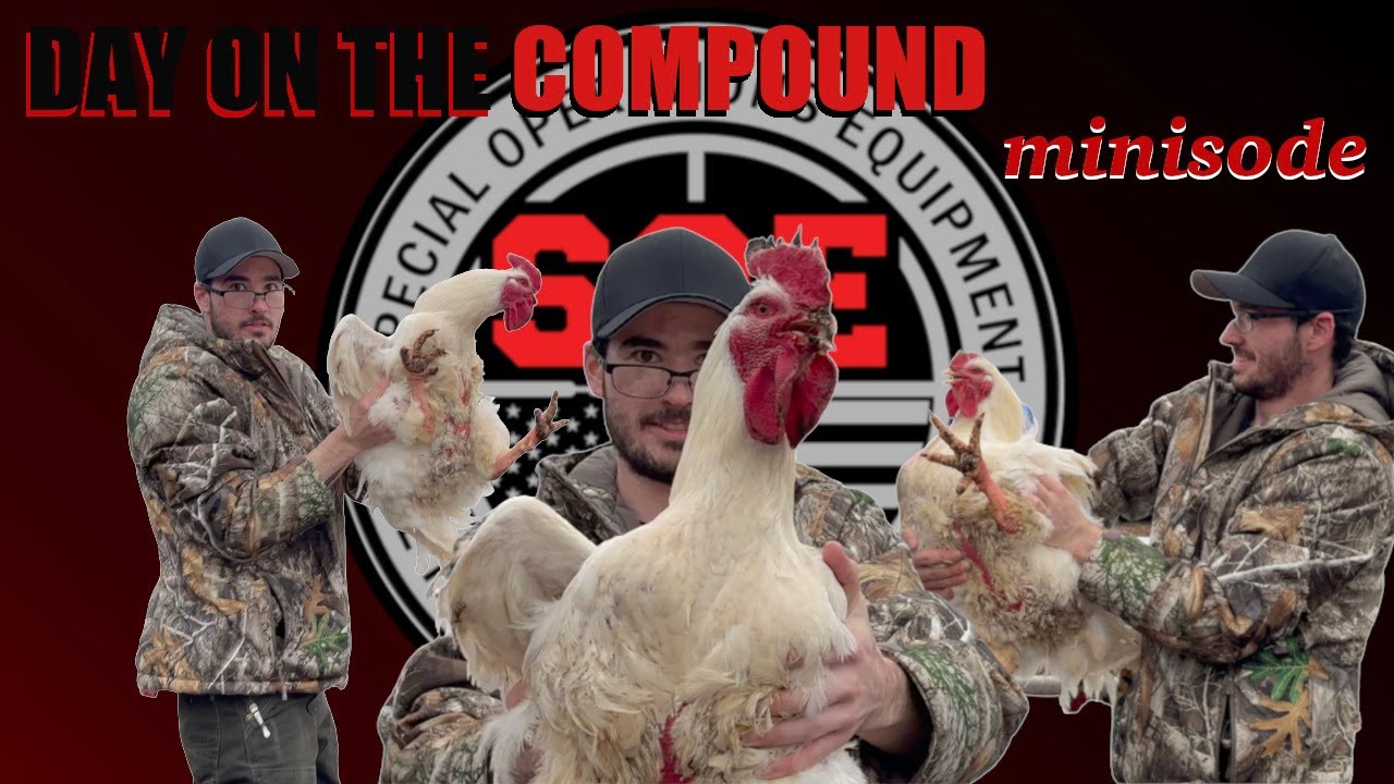 Cody LOVES choking his chicken! D.O.C. minisode. #chicken # ...