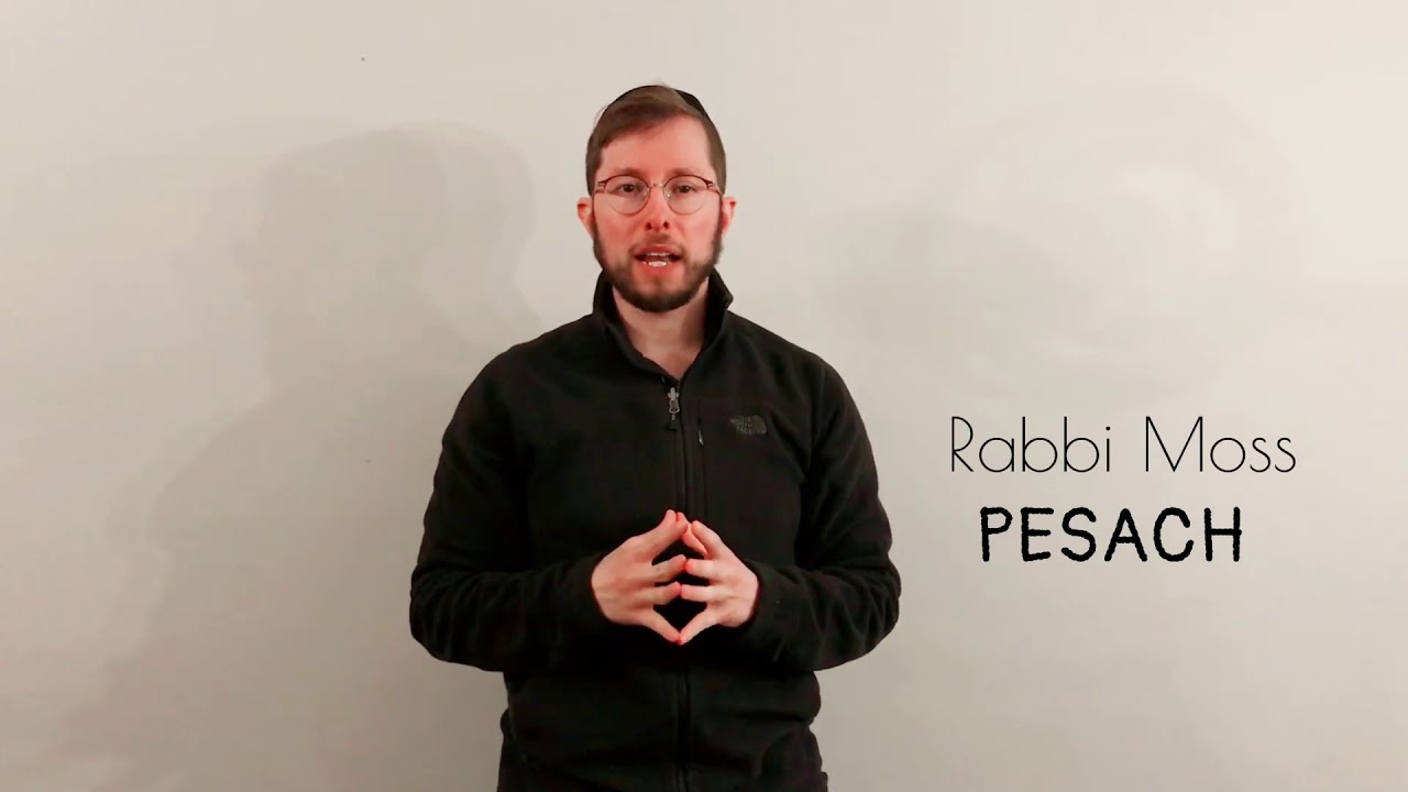 Rabbi Moss-PESACH - YouTube