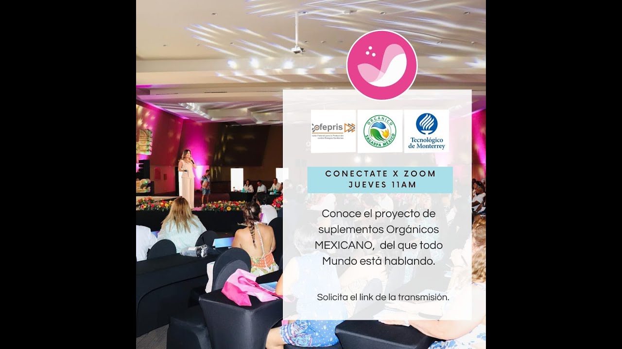 CONOCE ISMERELY y su modelo de negocio. - YouTube