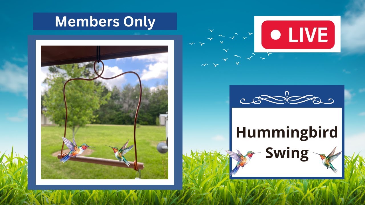 How to Make a Hummingbird Swing DIY - YouTube