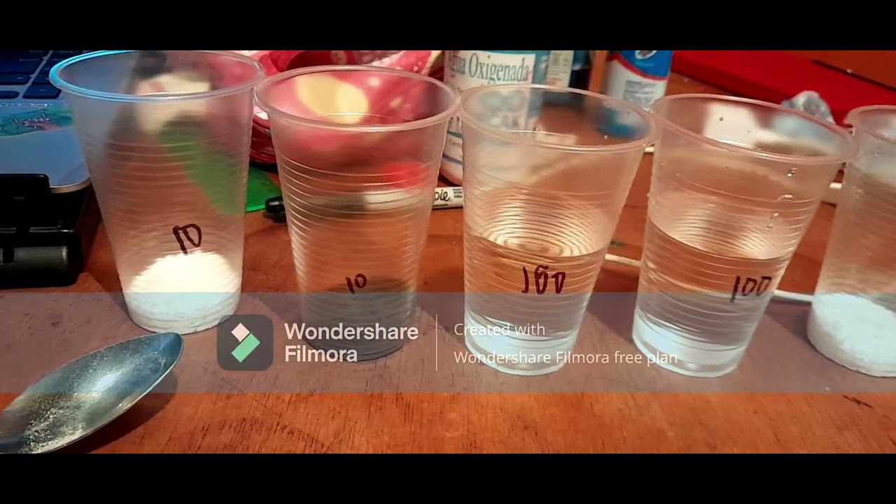 prueba de UREASA - YouTube