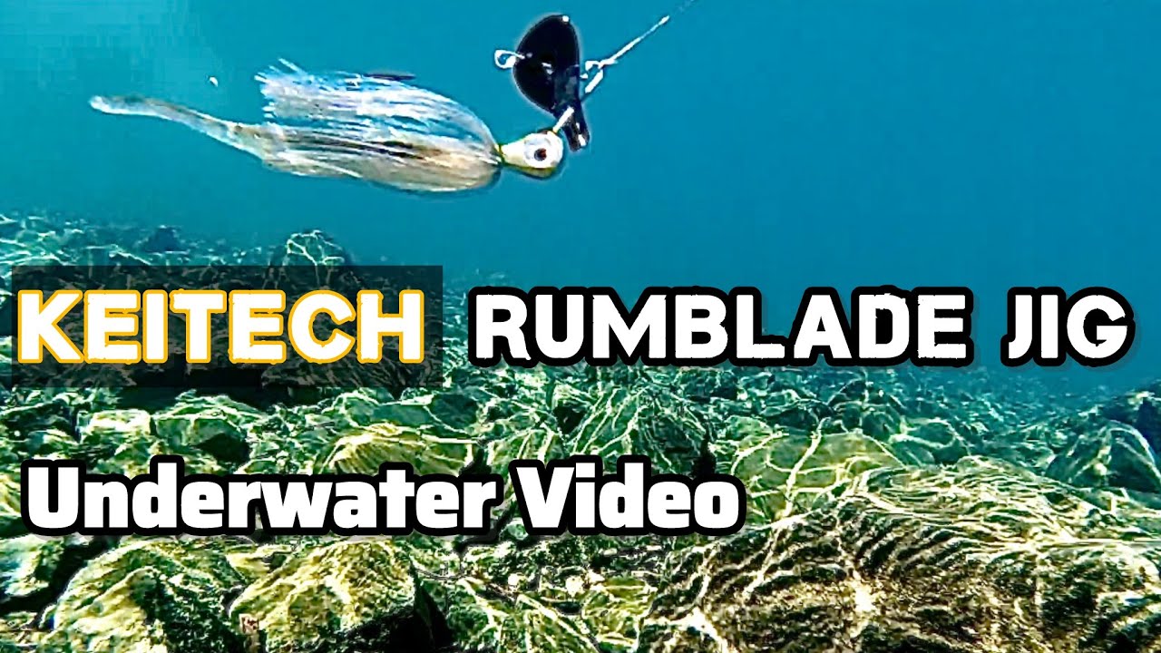 【UNDERWATER VIDEO】 How the KEITECH RUMBLADE JIG moves in underwater ...