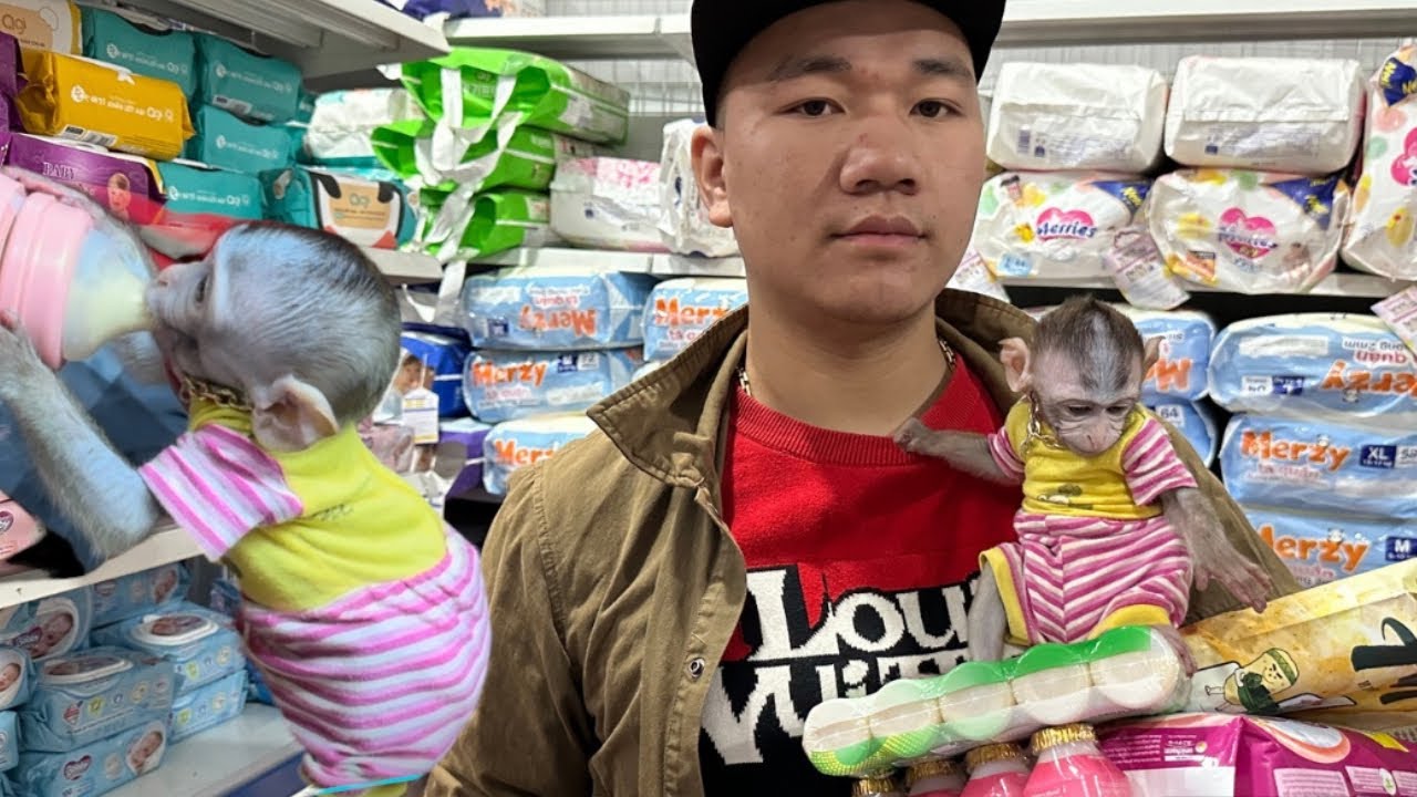 Baby monkey Lulu & dad go to the supermarket | baby monkey Lu Lu - YouTube
