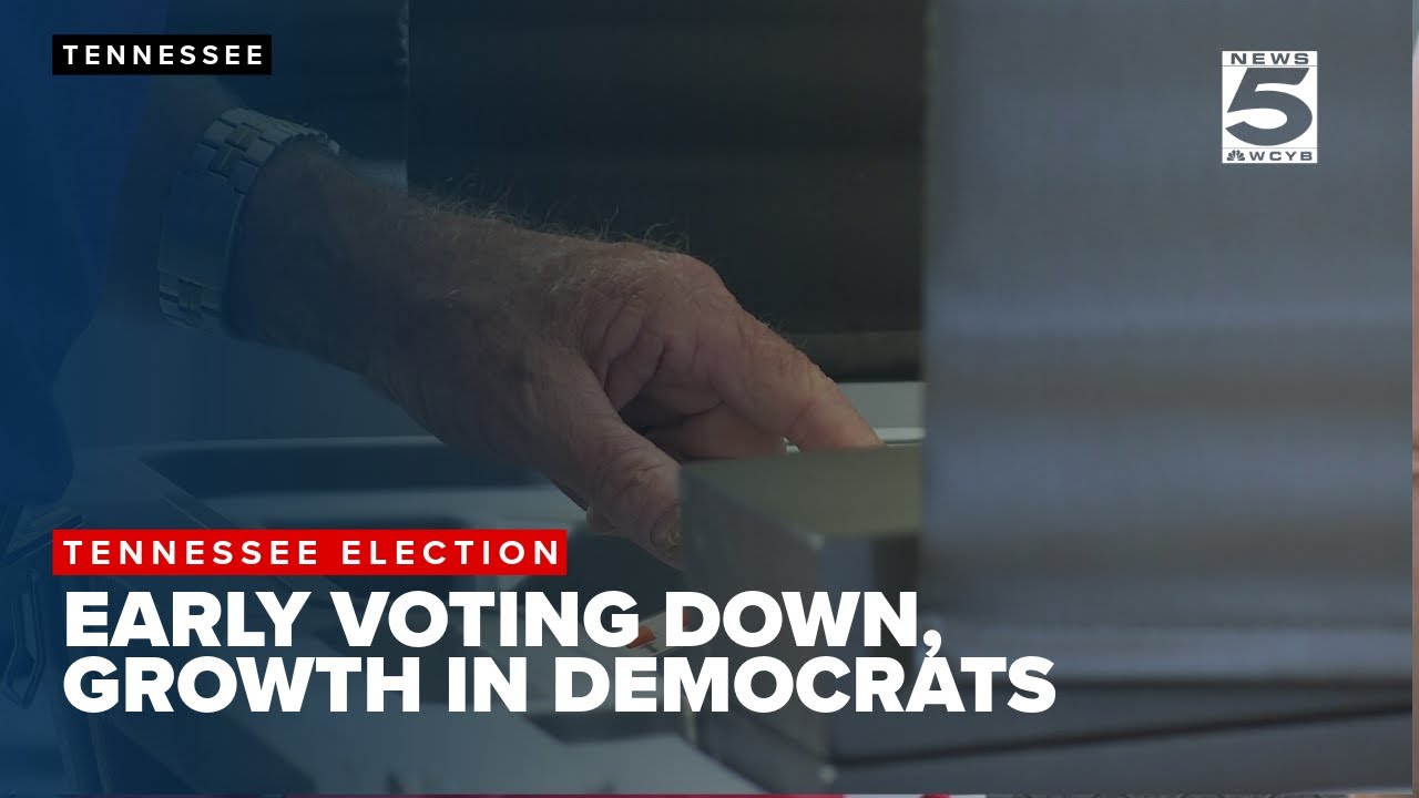 Early voting turnout down from 2020, numbers show growth in Democratic ...